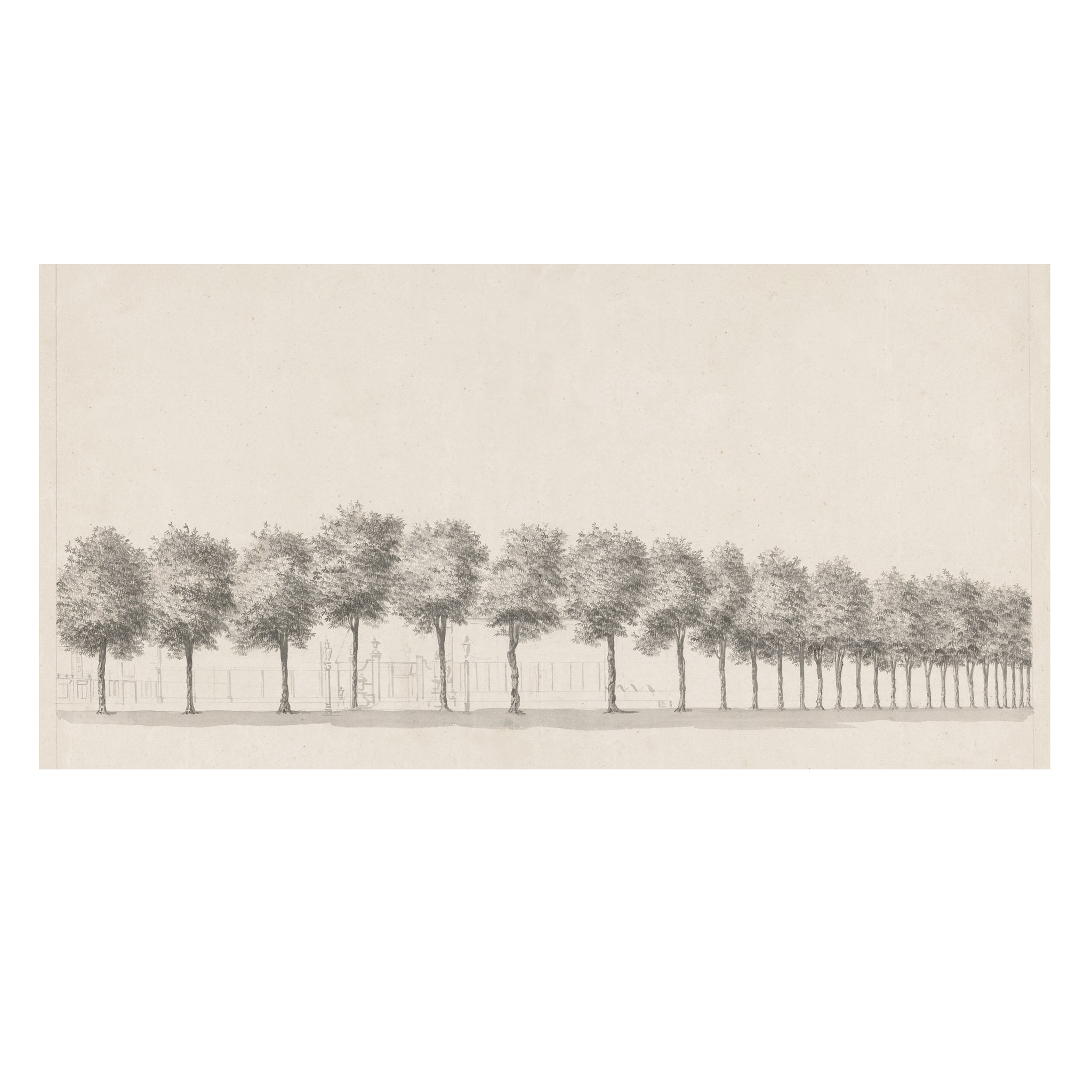 Tree Line Sketch -Landscape Print - Attica Press